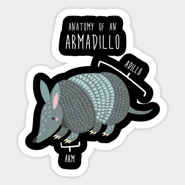 Armadillo Animal Anatomy - Armadillo - Sticker | TeePublic